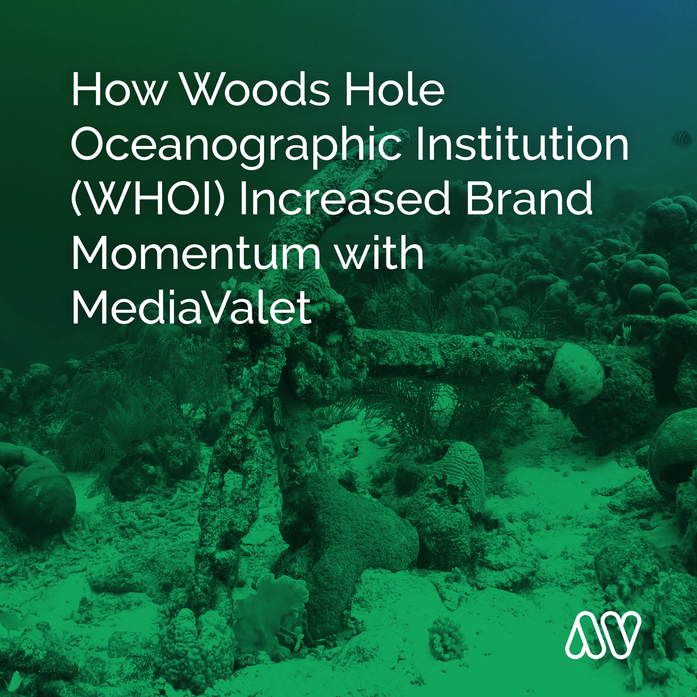 WHOI MediaValet Case Study | DAM for Higher Nonprofit